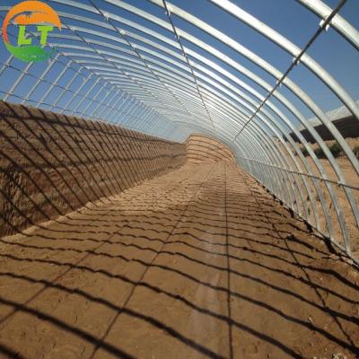 Cina Serra per pomodori agricoli a uno strato con ventilazione ottimale garantita in vendita