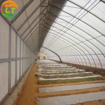 Cina Serra per pomodori agricoli a uno strato con ventilazione ottimale garantita in vendita