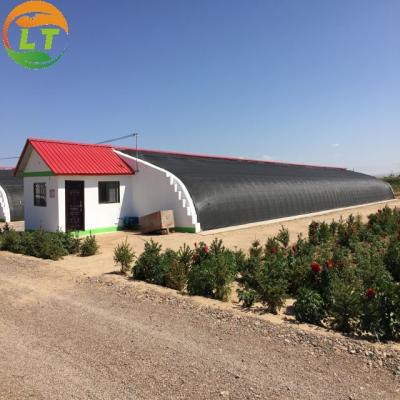 Cina Serra per pomodori agricoli a uno strato con ventilazione ottimale garantita in vendita