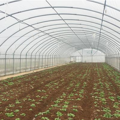 Cina Mini serre galvanizzate da giardino per la coltivazione commerciale di ortaggi in vendita