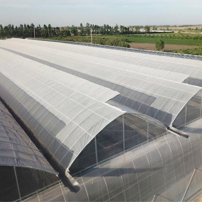 Cina Sistema di controllo automatico serra a uno strato per pellicole modelli commerciali coreane in vendita