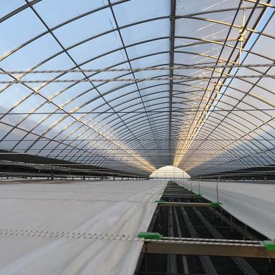 Cina Sistema di controllo automatico serra a uno strato per pellicole modelli commerciali coreane in vendita