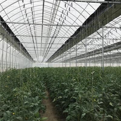 Cina Sistema di controllo automatico serra a uno strato per pellicole modelli commerciali coreane in vendita