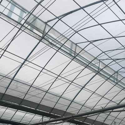 Cina Sistema di controllo automatico serra a uno strato per pellicole modelli commerciali coreane in vendita