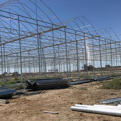 Cina Serre a pellicola di plastica multi-span per l'agricoltura degli ortaggi 50m lunghezza struttura stabile in vendita