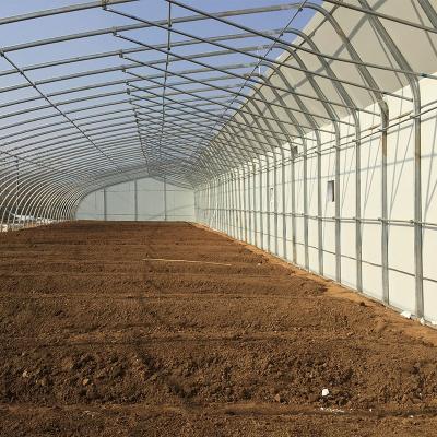Cina Ottimizzare la crescita con il sistema di ombreggiatura esterna e interna nella serra di pomodori idroponica in vendita