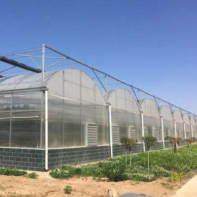 Cina Serre a pellicola di plastica multi-span per l'agricoltura degli ortaggi 50m lunghezza struttura stabile in vendita