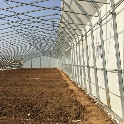 Cina Ottimizzare la crescita con il sistema di ombreggiatura esterna e interna nella serra di pomodori idroponica in vendita