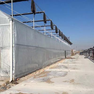 Cina Serre a pellicola di plastica multi-span per l'agricoltura degli ortaggi 50m lunghezza struttura stabile in vendita
