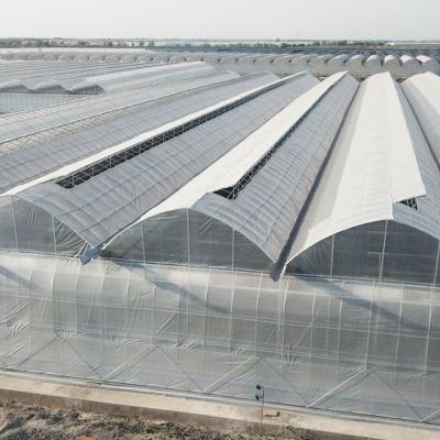 Cina Sistema di controllo automatico Serra a pellicola di acciaio galvanizzato per agricoltura in vendita