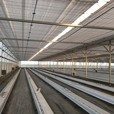 Cina Sistema di controllo automatico Serra a pellicola di acciaio galvanizzato per agricoltura in vendita