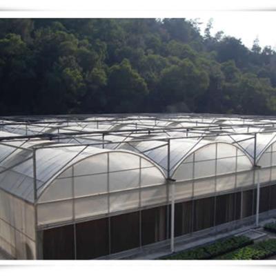 中国 野菜のためのカスタマイズされたマルチスペン農業温室 オプション灌輸システム 販売のため
