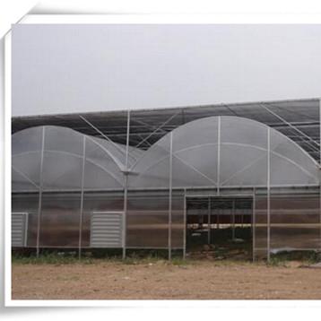 中国 野菜のためのカスタマイズされたマルチスペン農業温室 オプション灌輸システム 販売のため