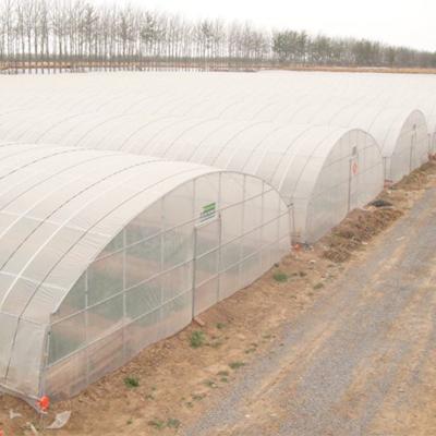 Cina Mini serra galvanizzata per la coltivazione delle piante coperta da una o due strati di pellicola PE in vendita