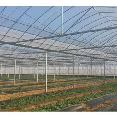 中国 野菜のためのカスタマイズされたマルチスペン農業温室 オプション灌輸システム 販売のため