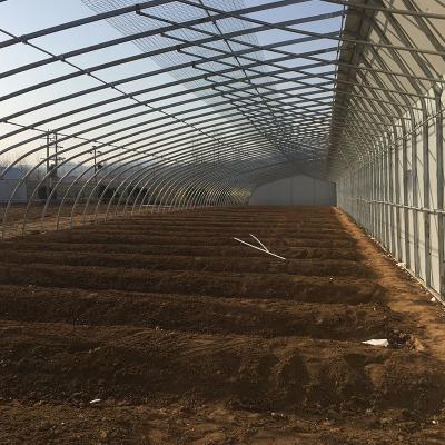 Cina Aree fredde Agricoltura Unico strato di luce solare Serra con temperatura adeguata in vendita