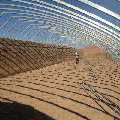 Cina Aree fredde Agricoltura Unico strato di luce solare Serra con temperatura adeguata in vendita