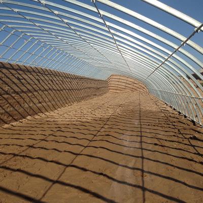 Cina Aree fredde Agricoltura Unico strato di luce solare Serra con temperatura adeguata in vendita
