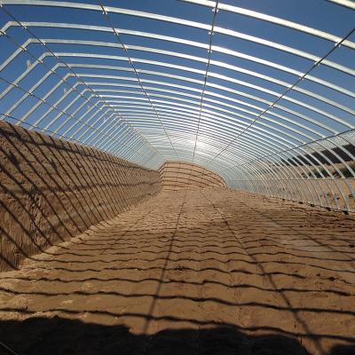 Cina Aree fredde Agricoltura Unico strato di luce solare Serra con temperatura adeguata in vendita