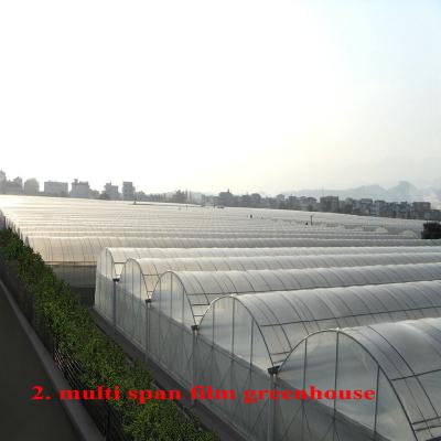 Cina 8.0m 10.0m Larghezza di lunghezza Agricoltura Serra per pomodori e ortaggi in vendita