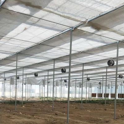 Cina 8.0m 10.0m Larghezza di lunghezza Agricoltura Serra per pomodori e ortaggi in vendita