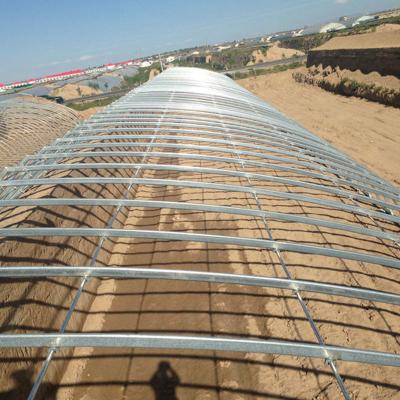 Cina Serra solare agricola con sistema di ombreggiatura esterna/interno e controllo automatico in vendita
