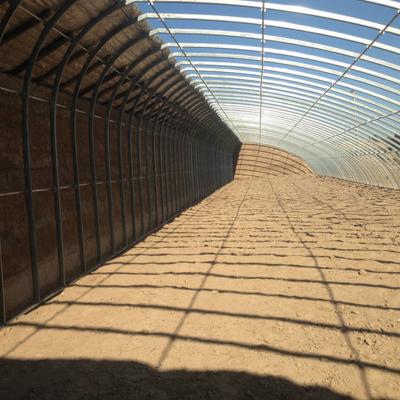 Cina Serra solare agricola con sistema di ombreggiatura esterna/interno e controllo automatico in vendita