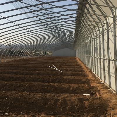 Cina Serra solare agricola con sistema di ombreggiatura esterna/interno e controllo automatico in vendita