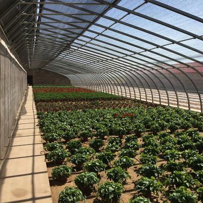 Cina Serra solare agricola con sistema di ombreggiatura esterna/interno e controllo automatico in vendita