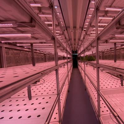 Cina Serra per l'agricoltura intelligente idroponica a 40 piedi con luce LED per la crescita delle piante in vendita