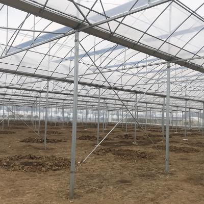 Cina Serra agricola a pellicola di plastica galvanizzata a caldo e durevole con PE Single/ Multi Span in vendita