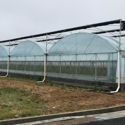 Cina Serra agricola a pellicola di plastica galvanizzata a caldo e durevole con PE Single/ Multi Span in vendita