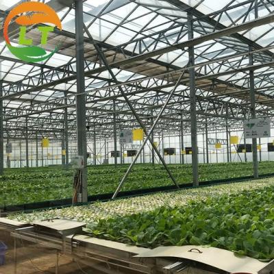 Cina Serre agricole di grandi dimensioni con sistema idroponico in vendita