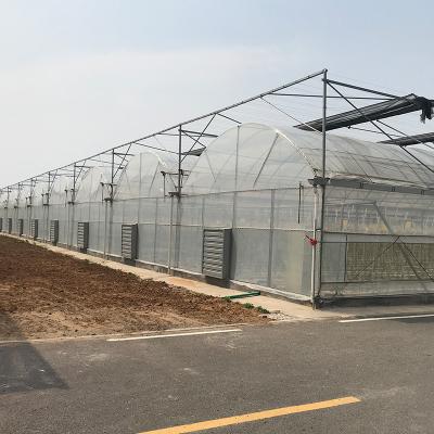 Cina Film di plastica per agricoltura a serra di pomodori resistente con caratteristiche di raffreddamento e riscaldamento in vendita