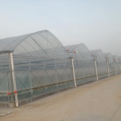 Cina Film di plastica per agricoltura a serra di pomodori resistente con caratteristiche di raffreddamento e riscaldamento in vendita
