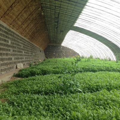 Cina Serra solare agricola professionale per la coltivazione di fiori in vendita