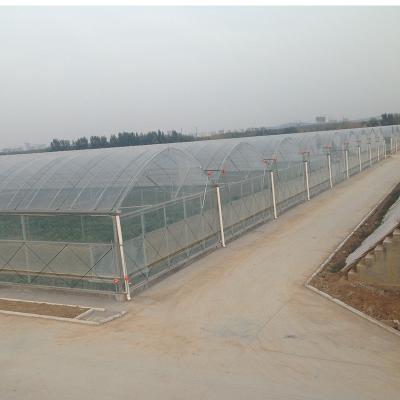 Cina Film di plastica per agricoltura a serra di pomodori resistente con caratteristiche di raffreddamento e riscaldamento in vendita