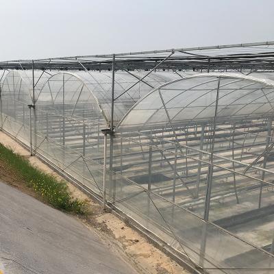 Cina Film di plastica per agricoltura a serra di pomodori resistente con caratteristiche di raffreddamento e riscaldamento in vendita
