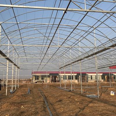 Cina Altezza del tetto 4,8-7,8m 200 micron Fogli di plastica resistenti ai raggi UV Serra per ortaggi in vendita