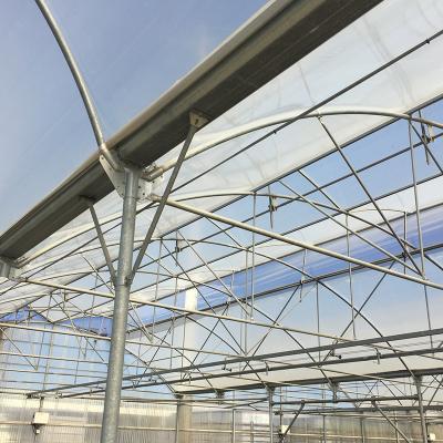 Cina Altezza del tetto 4,8-7,8m 200 micron Fogli di plastica resistenti ai raggi UV Serra per ortaggi in vendita