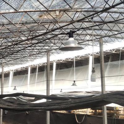 Cina Lampada per la crescita delle piante di sementi in serra ad alto flusso luminoso 48000lm 36W con 2- da diretto in vendita