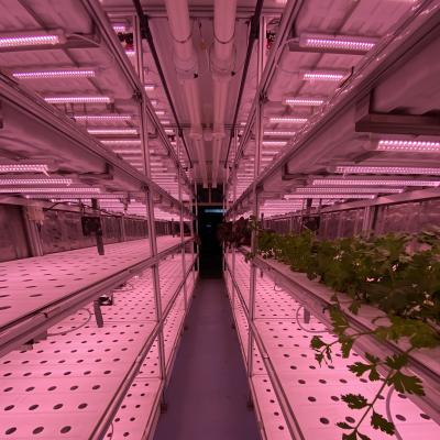 Cina Contenitore per l'agricoltura idroponica intelligente Serra per l'agricoltura Contenitore da 40 piedi in vendita
