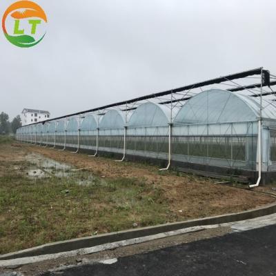 Cina Serra mono strato 200 film di plastica micro UV per ortaggi forte e resistente in vendita