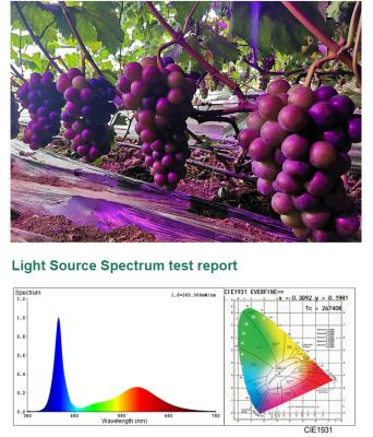 Cina 30000 ore di vita utile Modulo di coltivazione a LED 220v per impianti di illuminazione a serra in vendita