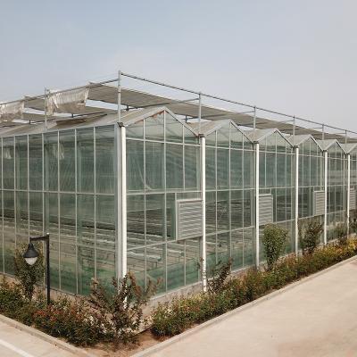 China Hydroponic Vertical Farming Greenhouse for Herb and Tomato Growing in Customized Size for sale