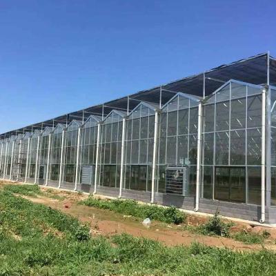 China Hydroponic Vertical Farming Greenhouse for Herb and Tomato Growing in Customized Size for sale