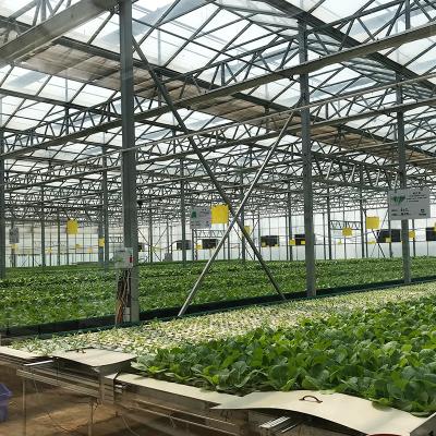 China Hydroponic Vertical Farming Greenhouse for Herb and Tomato Growing in Customized Size for sale