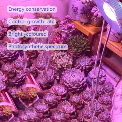Cina Piantagione in serra 36W/50W Full Spectrum LED Grow Light con elevata efficienza luminosa in vendita
