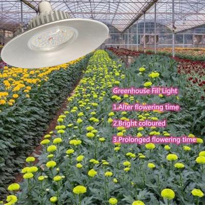 Cina Piantagione in serra 36W/50W Full Spectrum LED Grow Light con elevata efficienza luminosa in vendita