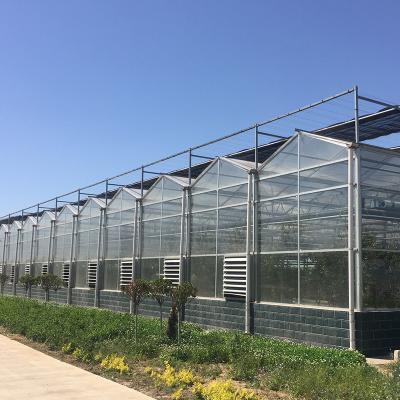 Cina Sistema idroponico avanzato per la coltivazione di ortaggi in serre agricole in vendita